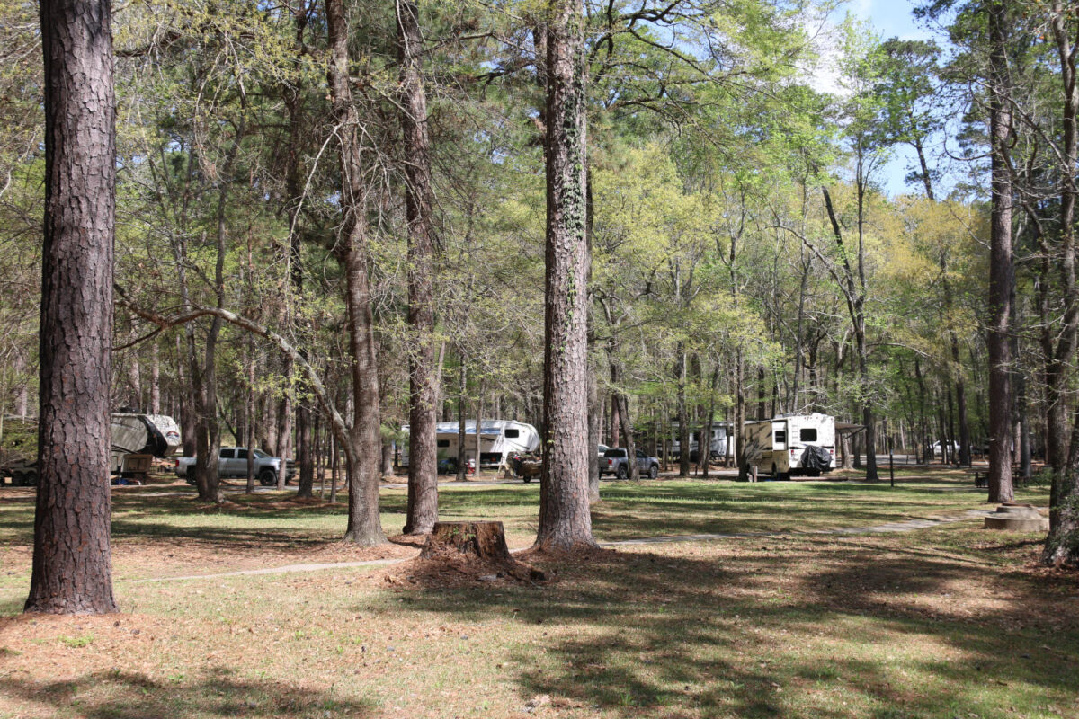 Cagle Recreation Campground – Lake Conroe