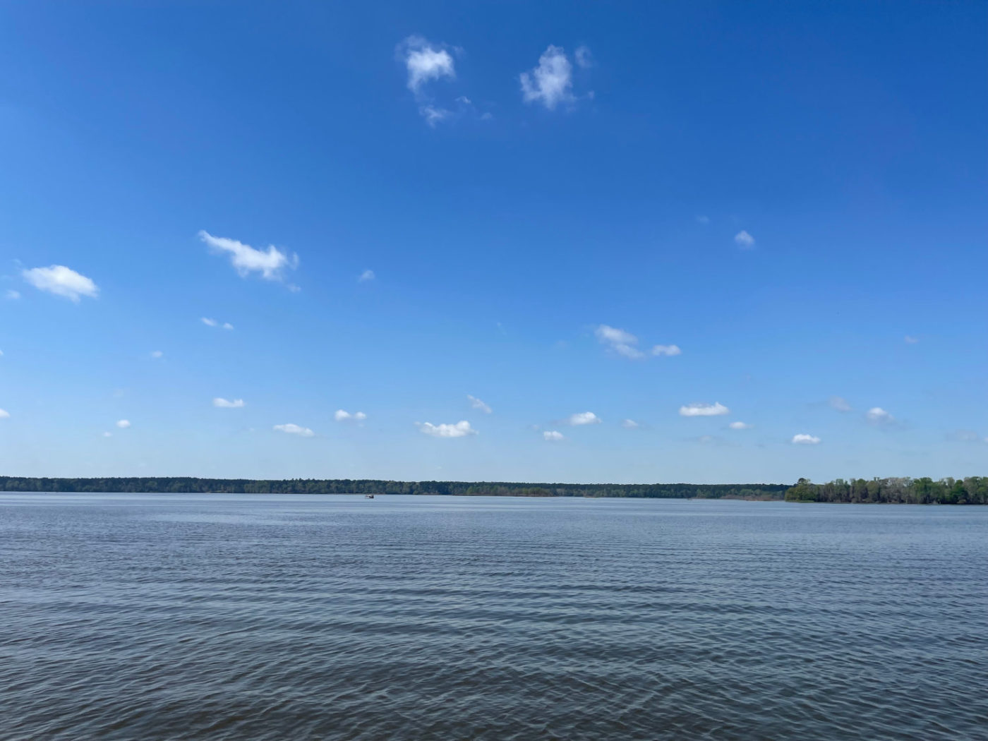 Waterpoint Marina – Lake Conroe
