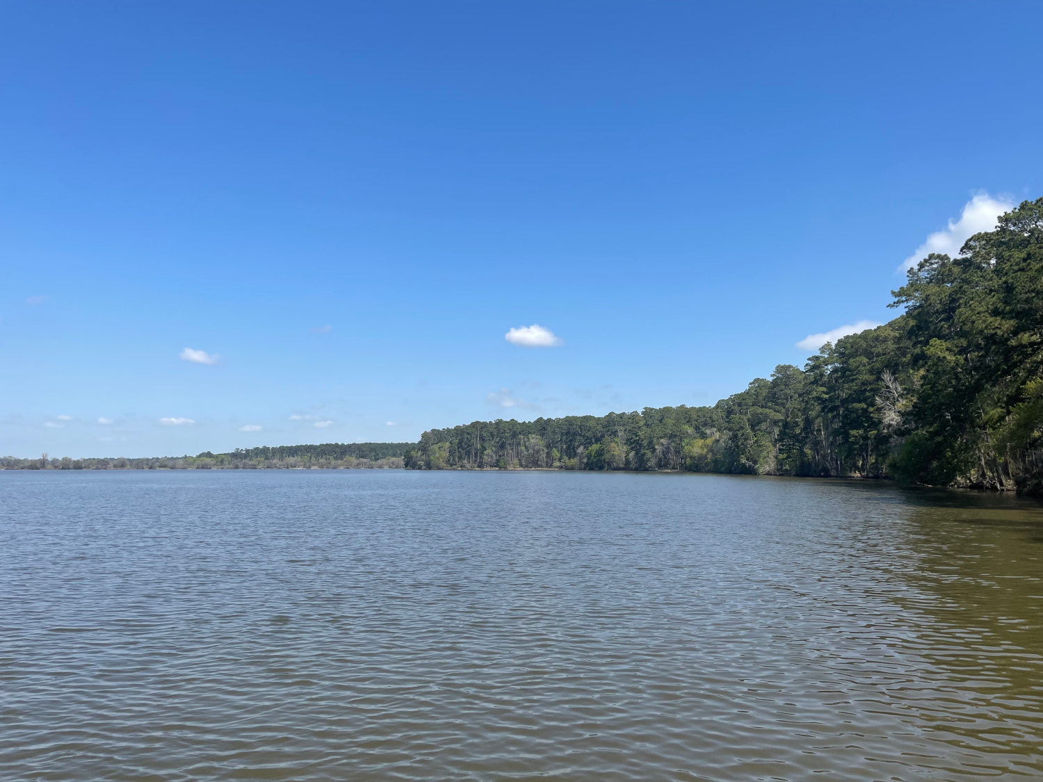 Lakeview Marina – Lake Conroe